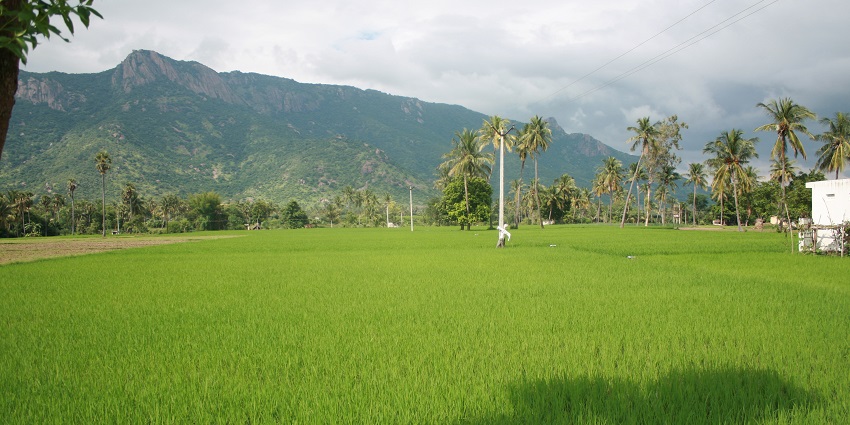 Places To Visit In Mettupalayam: Discover Popular Gems - TripXL