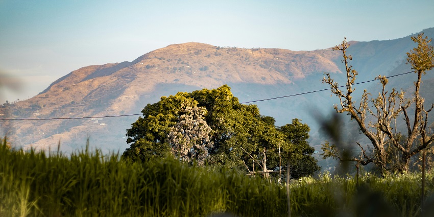 7 Places To Visit In Ramnagar: Explore Nature And Culture - TripXL