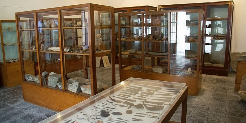 Ratnagiri Marine Fish Museum: Discover Marine Species Up Close - TripXL