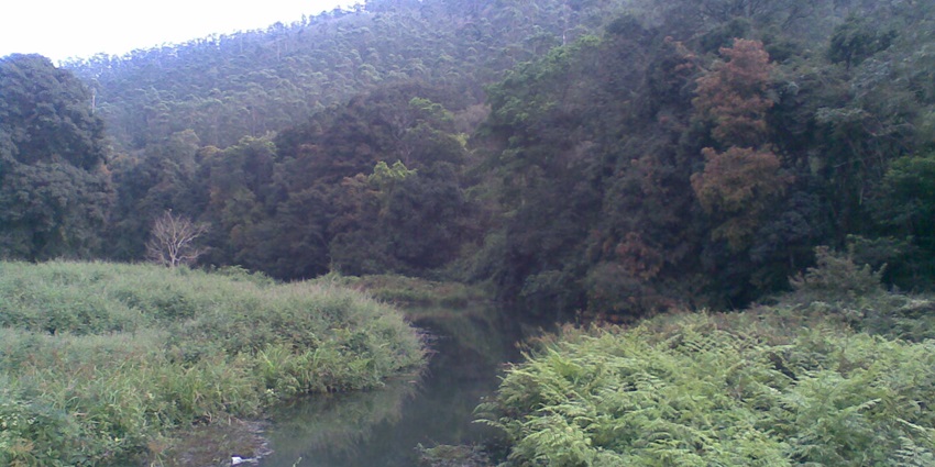 Thanthai Periyar Wildlife Sanctuary: Explore Fauna World - TripXL