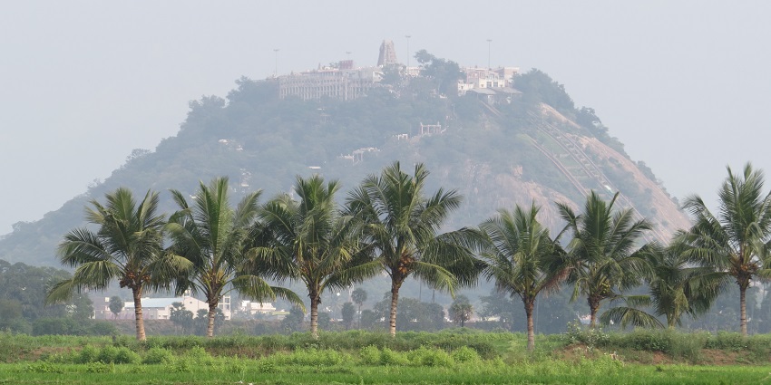 Explore Popular Things To Do In Palani, Tamil Nadu - TripXL