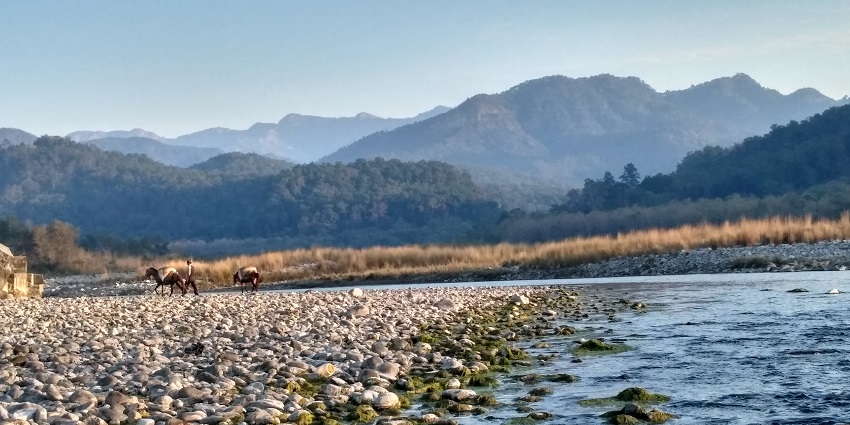 13 Things To Do In Ramnagar: Exploration And Recreation - TripXL