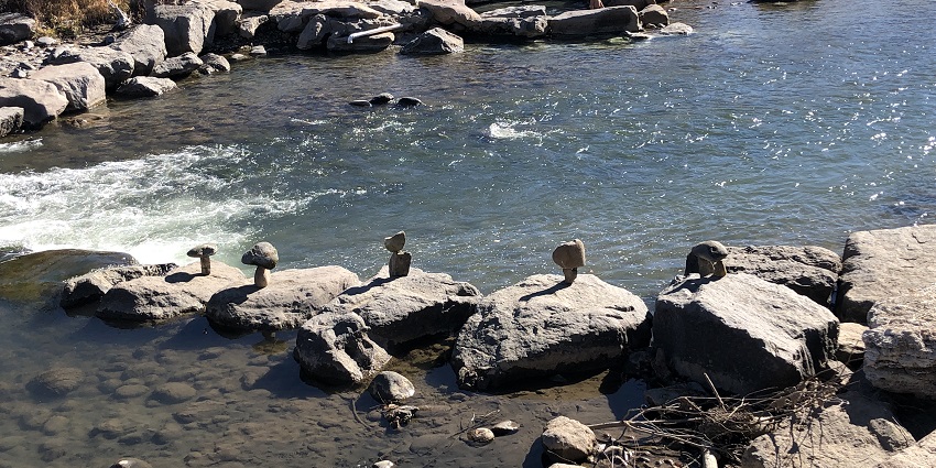 Bakreshwar Hot Spring: Your Travel Guide To West Bengal - TripXL