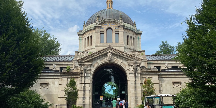 Bronx Zoo: A Complete Guide To Wildlife In New York