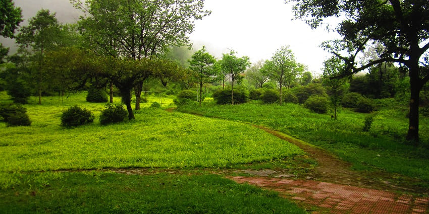 Neora Valley National Park: Amidst West Bengal’s Wilderness - TripXL