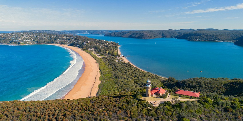 Discover The Beauty Of Palm Beach In Australia - TripXL