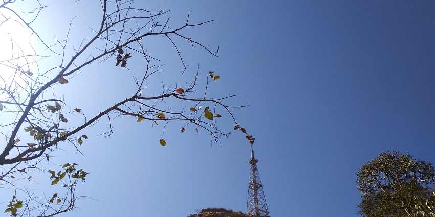 Sinhgad Trekking: A Journey Through Majestic Landscapes - TripXL