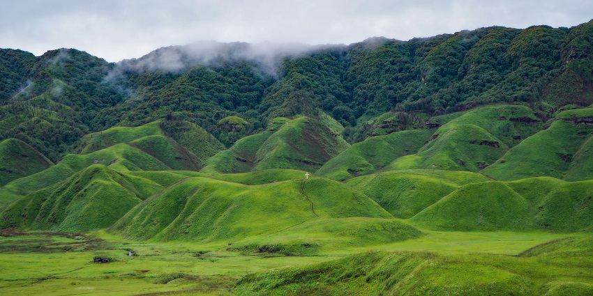 Dzukou Valley Travel Guide: Trekking, Scenic Beauty, And Adventure - TripXL