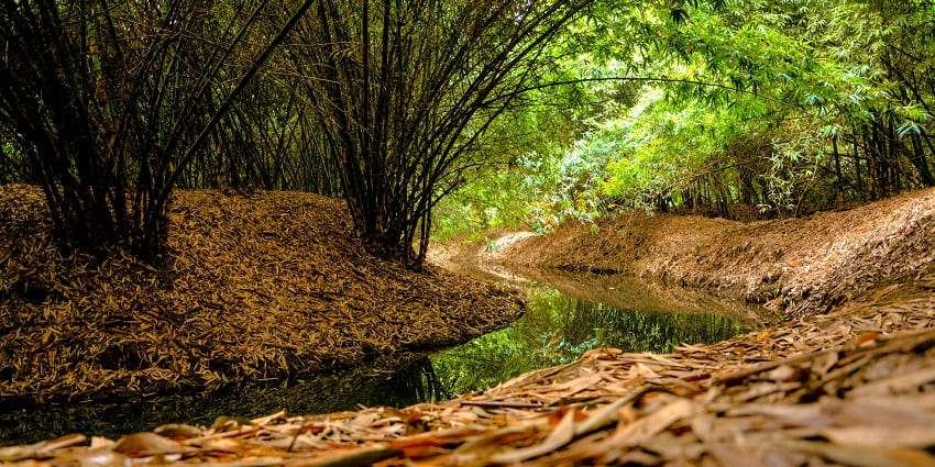 Semadoh Jungle Safari: The Vibrant Wildlife of Maharashtra - TripXL