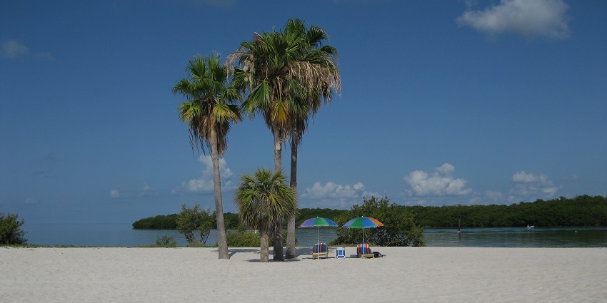 Things To Do In Florida In December: The Travellers Guide - TripXL