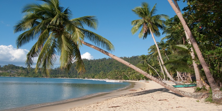 Beaches In Palawan: A Tropical Haven Of Crystal-Clear Waters - TripXL