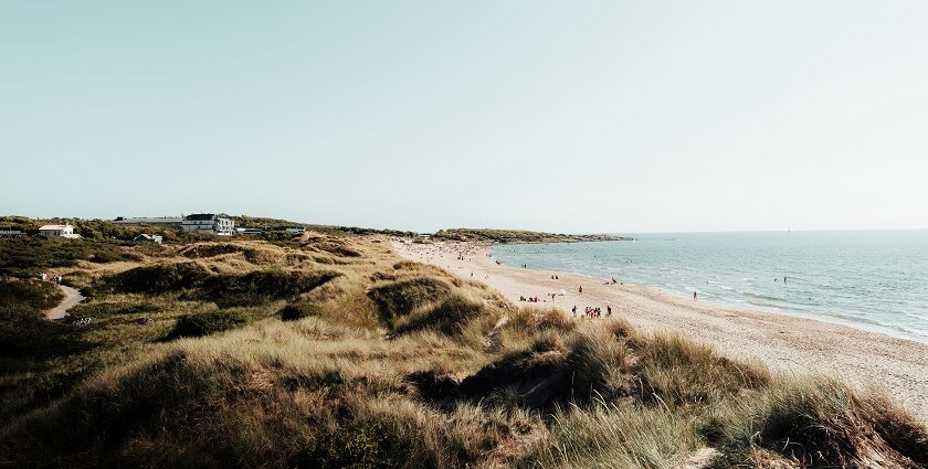 10 Beaches In Sweden To Visit For A Scenic Escape - TripXL