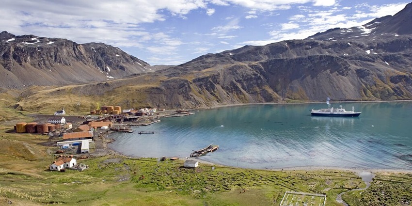 South Georgia Island Guide: Everything You Need To Know - TripXL