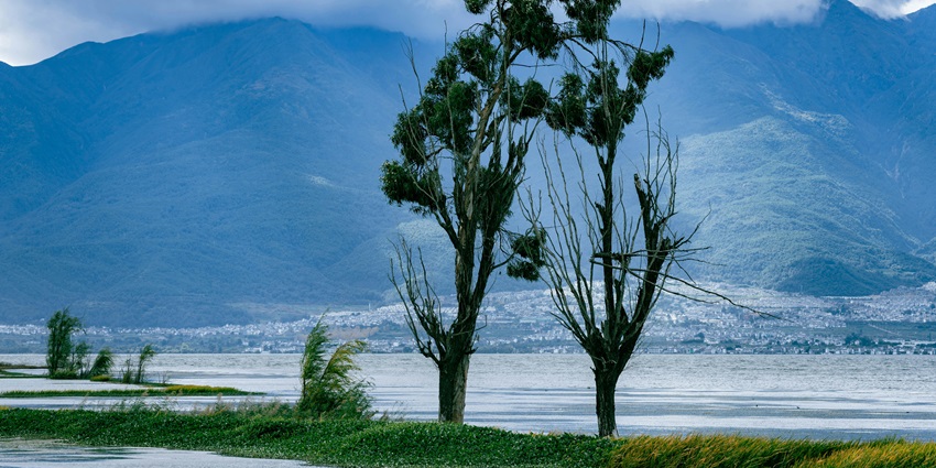 Wular Lake In India: Kashmir’s Largest Freshwater Lake - TripXL